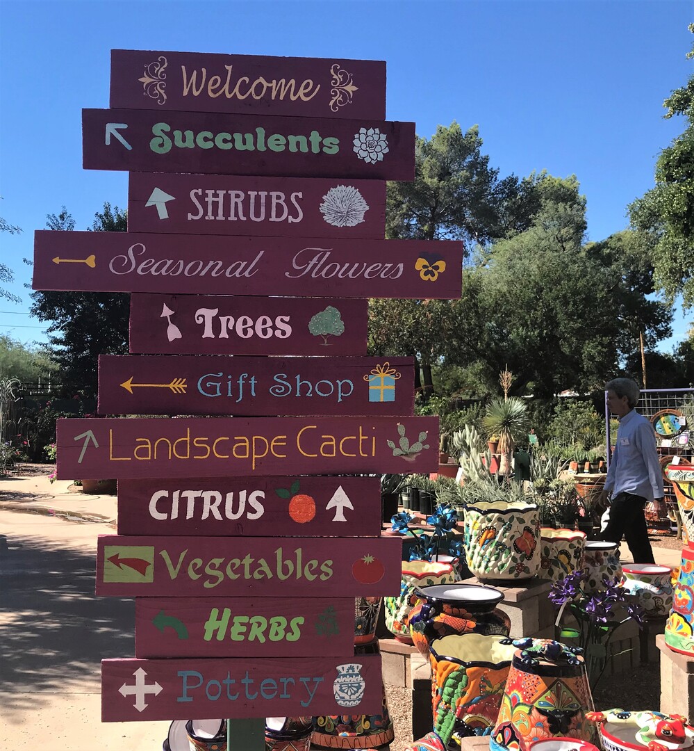 Photo Gallery - TAIS 2022 Annual Iris Rhizome Sale